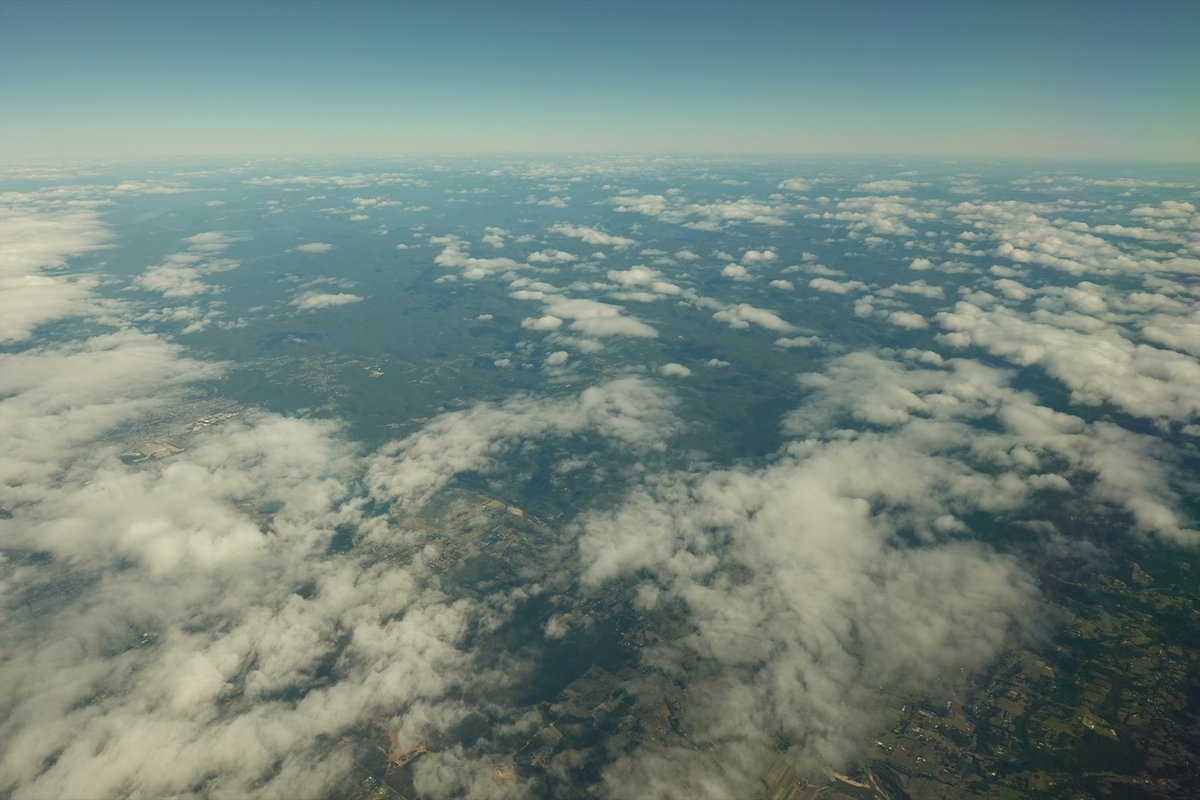 【シドニー D5-2】 ANAビジネスクラス（シドニー⇒羽田）｜Yusuke（40代サバティカル旅行記）