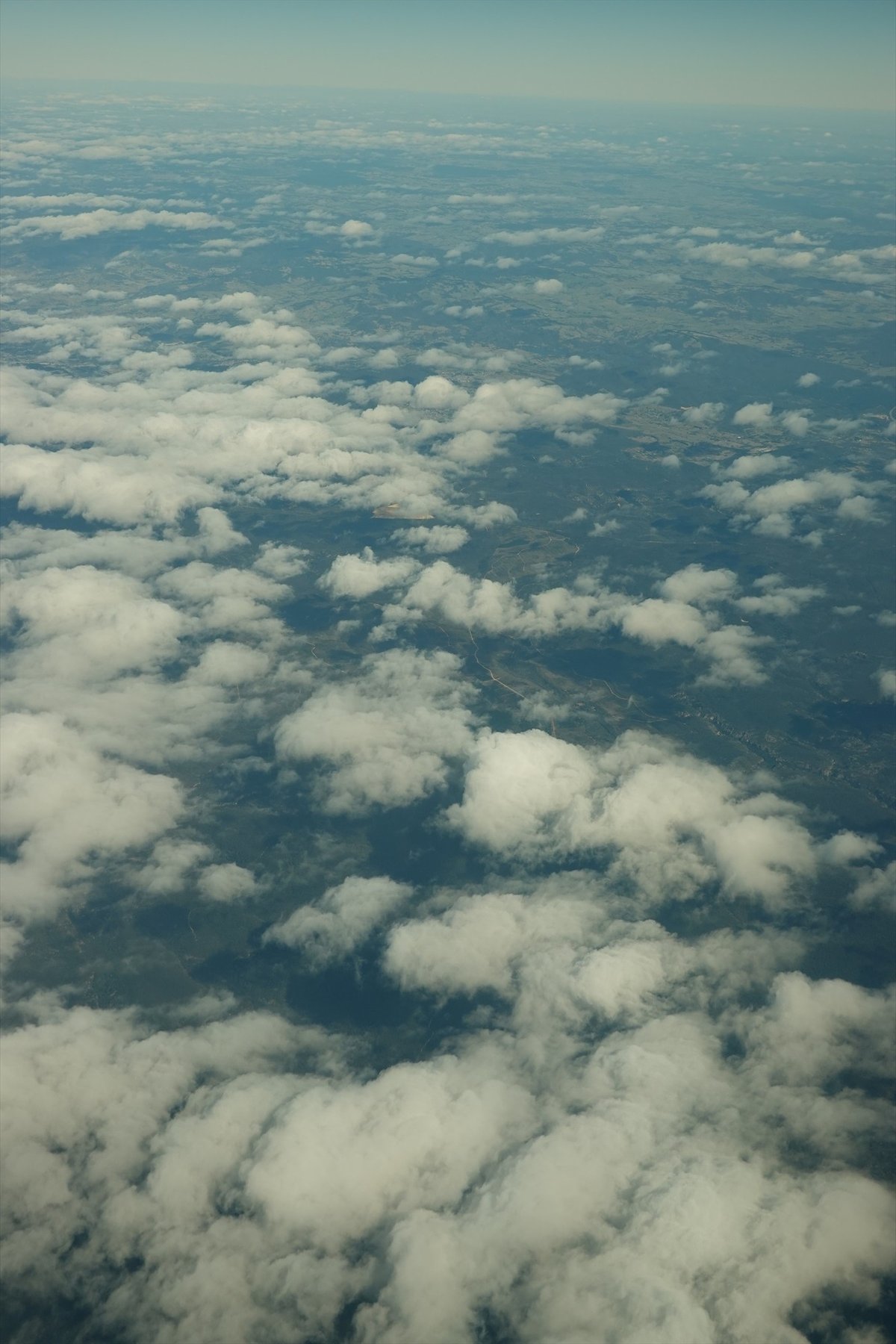 【シドニー D5-2】 ANAビジネスクラス（シドニー⇒羽田）｜Yusuke（40代サバティカル旅行記）