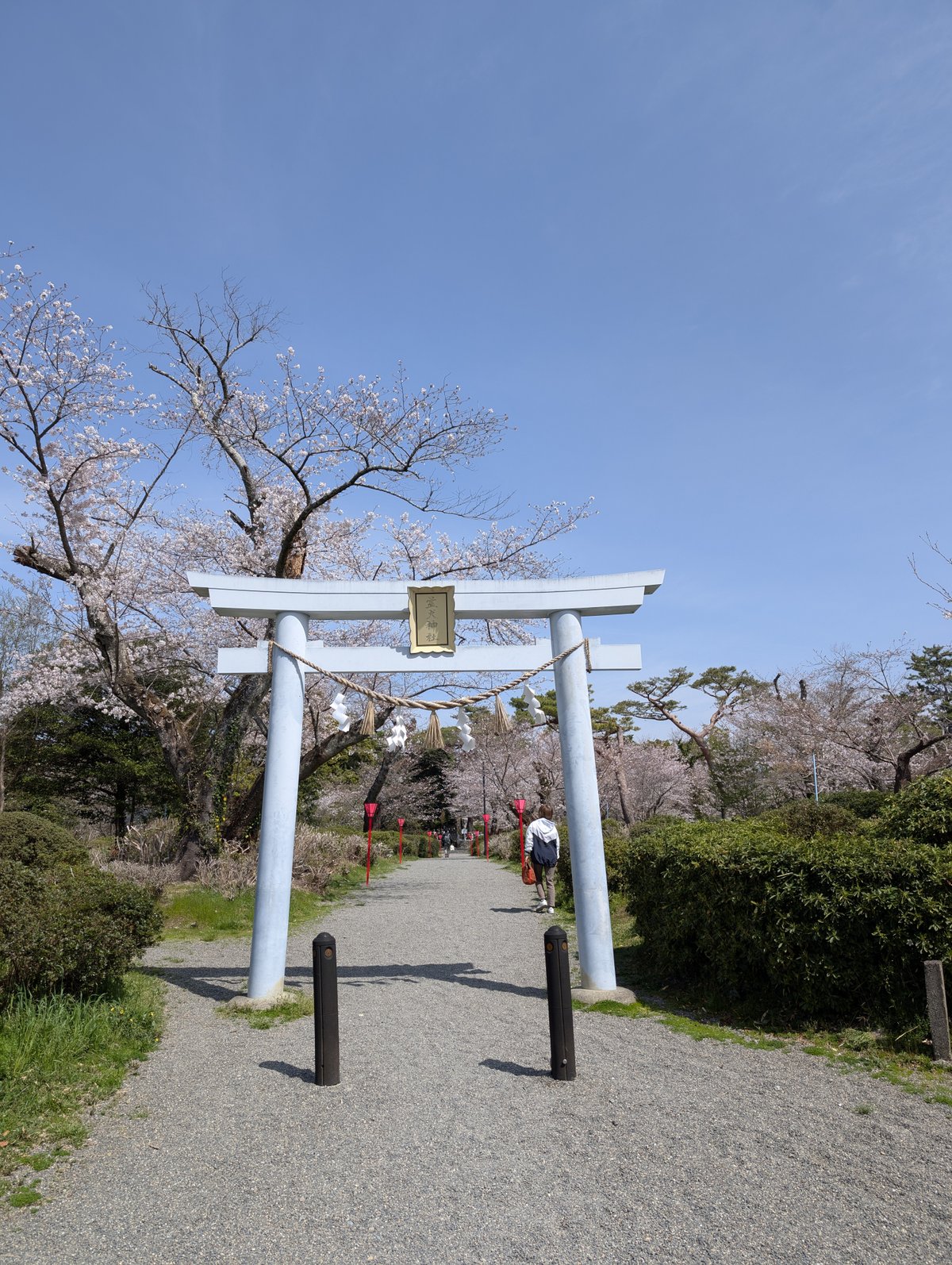 わんこ撮影｜Akihiko Oosugi