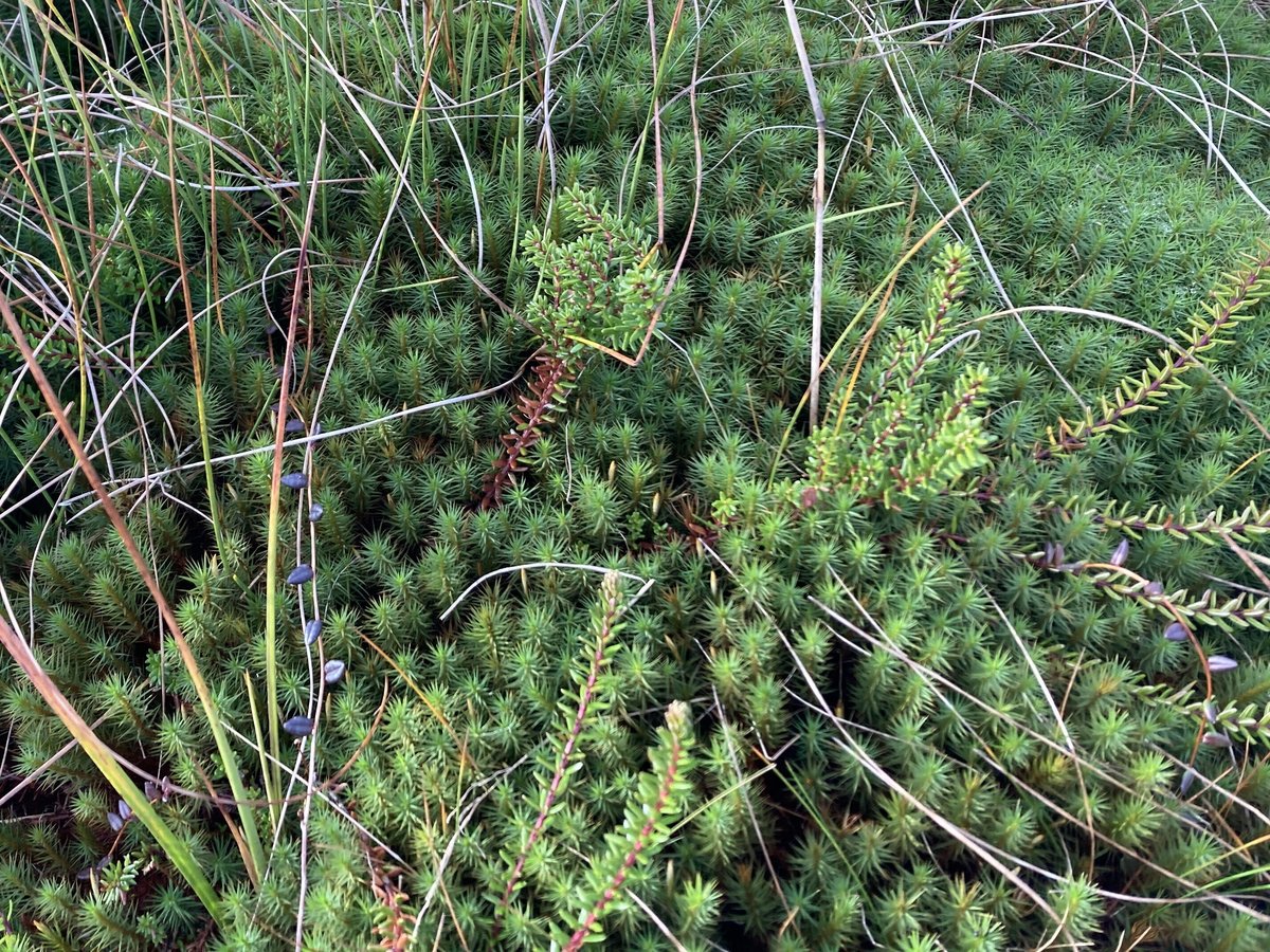 トータルインフラ：自然を起点とした社会基盤の考え方｜Jun Nishihiro / 西廣 淳