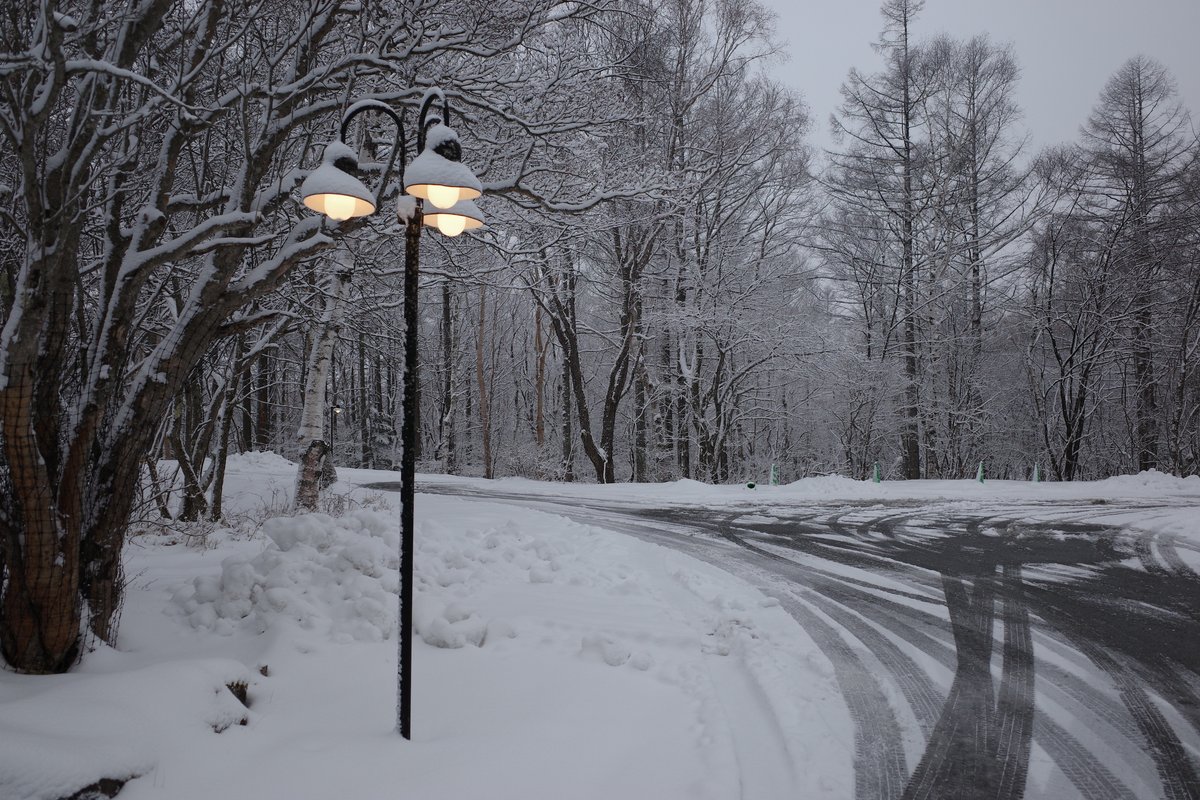雪の八ヶ岳高原音楽堂｜季節花人 | Shoko Kondo