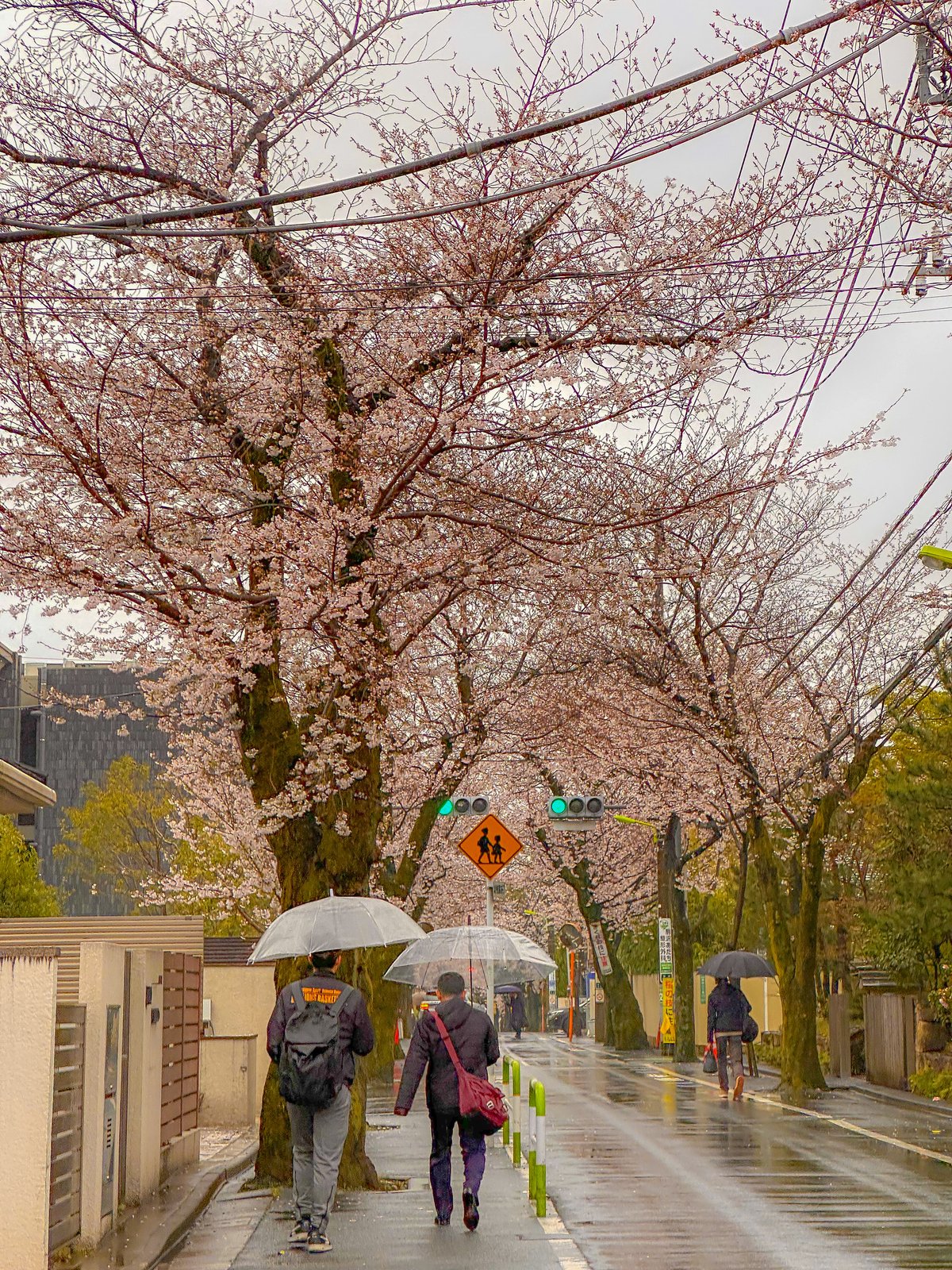 #10 大学教員として着任しました ｜Hideki OGIMA