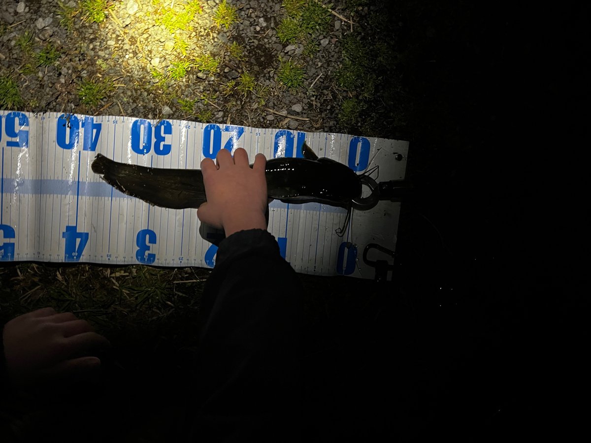 Making Bite & Shuffle #10『厳かなモノリス』｜Bite&shuffle