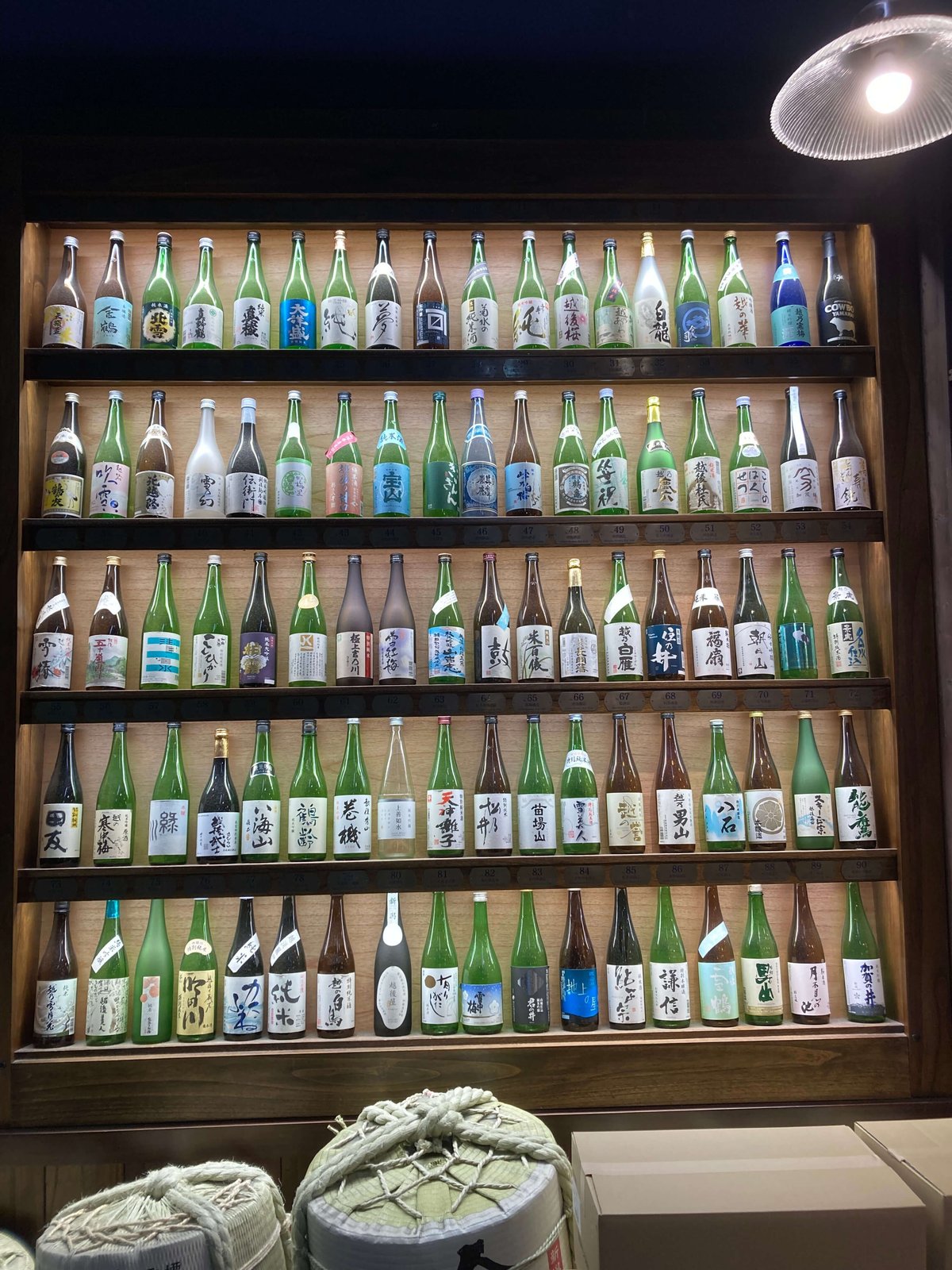 【マラソン】第40回新潟シティマラソンを走ってきた｜Yuusuke_Run