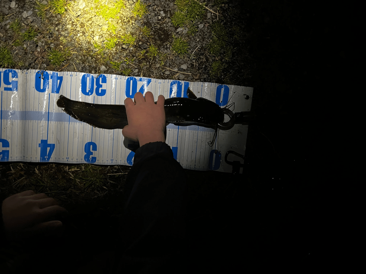 Making Bite & Shuffle #10『Grim Monolith』｜Bite&shuffle