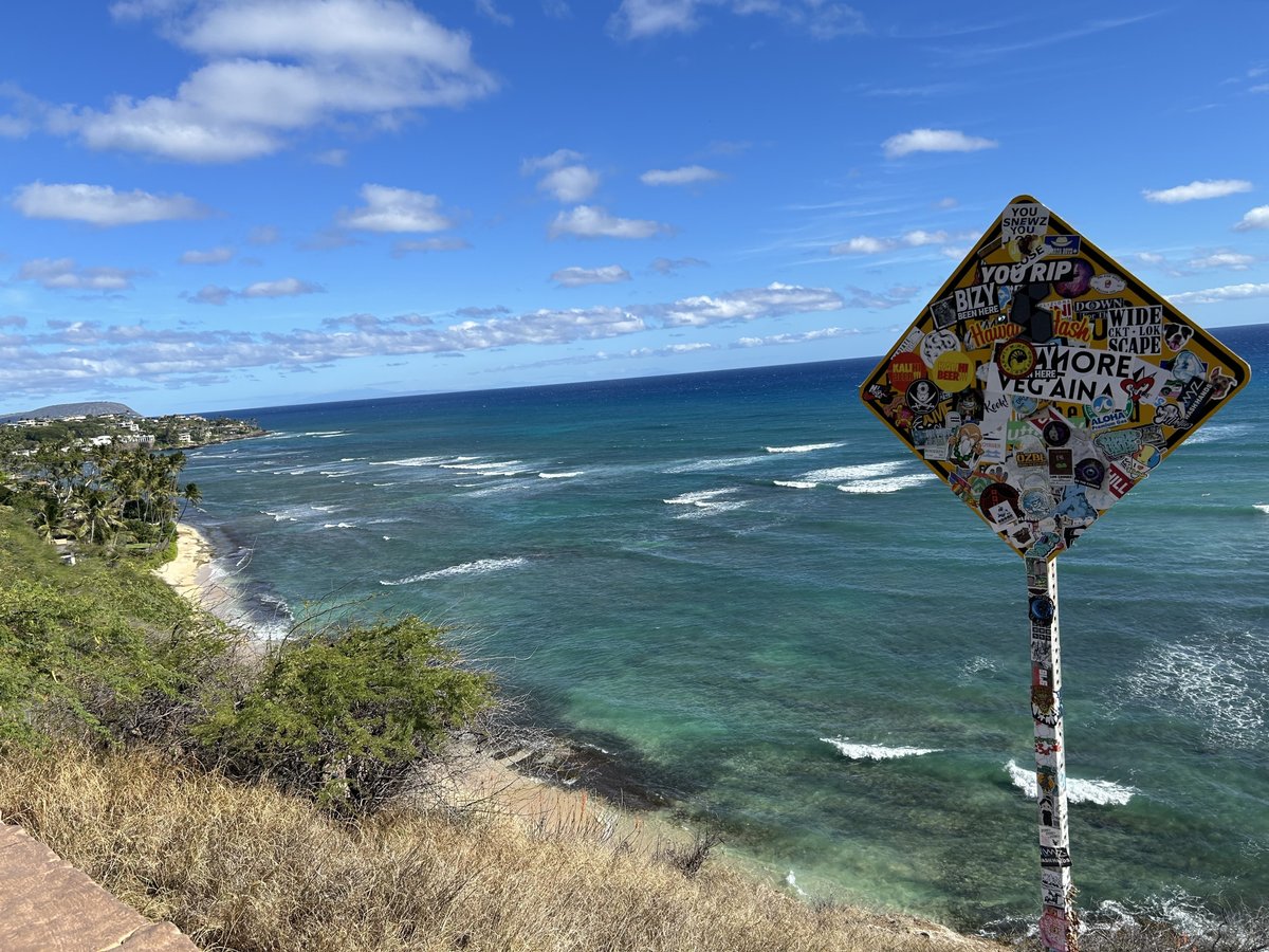 Malana aina ｜masaru