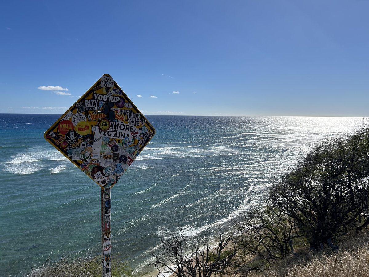 Malana aina ｜masaru