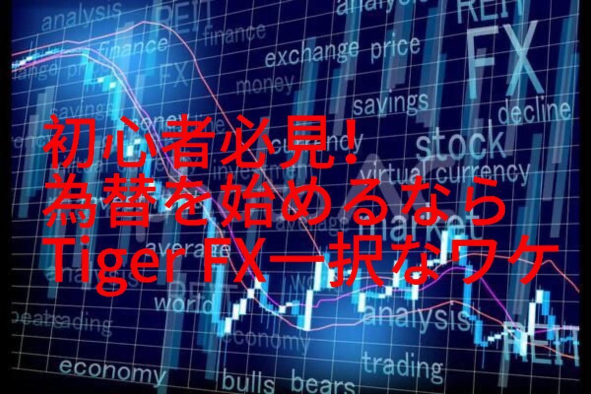 初心者でも安心！Tiger FXの利点と僕が実際に得た成果｜斎藤