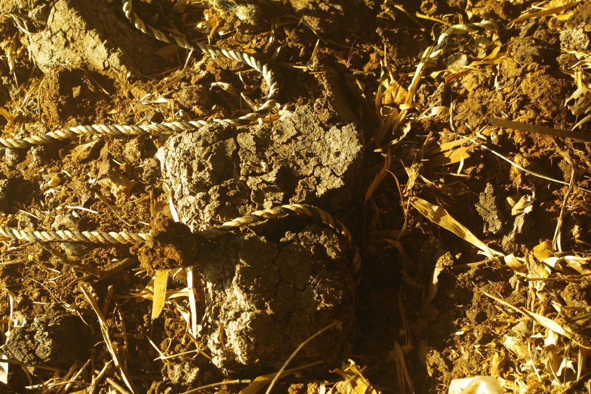 関係性を築いていく｜Sawairi Miyoshi