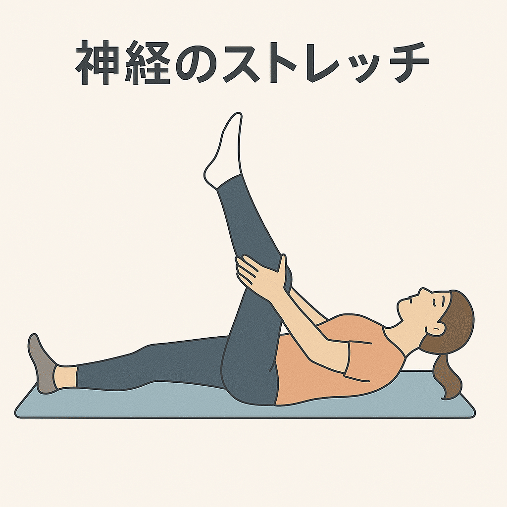 【膝の裏が突っ張る原因は？】筋肉だけじゃない“神経の動き”にも注目を！～長引く違和感の意外な正体とは～｜PT yoshi