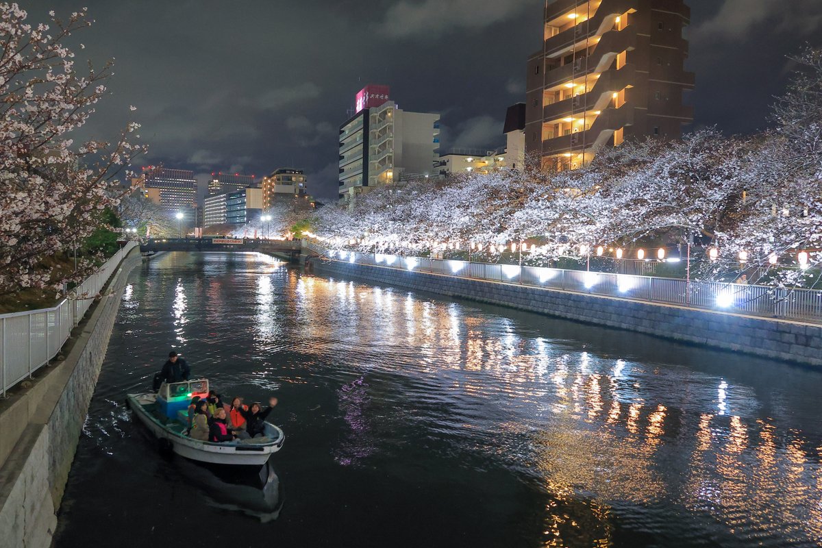 花巡り〜大横川〜｜Toru Shiratori