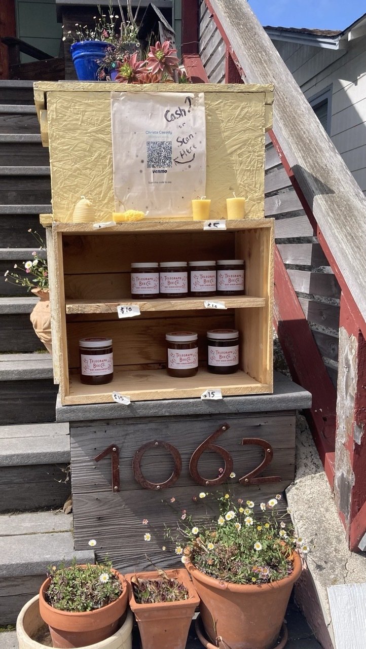 AP Japaneseまで後1ヶ月！試験対策が進むサポートの仕方｜Ayako|21世紀型の学び＠カリフォルニア