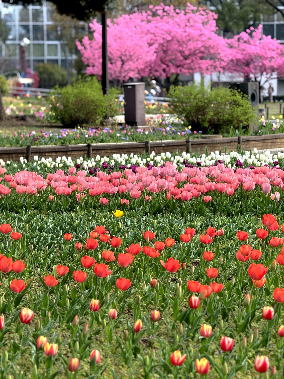 ひとりごと（食料供給困難事態対策法）｜きんさん