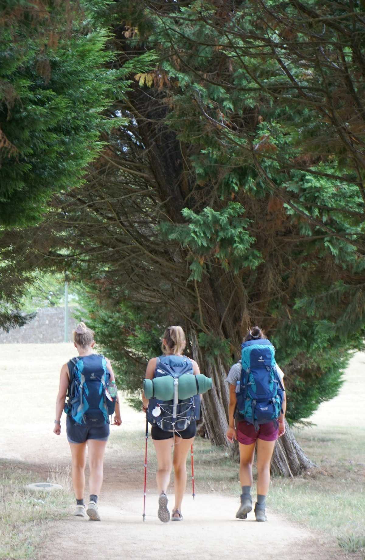 聖(大）ヤコブの墓廟を目指して｜J plus S