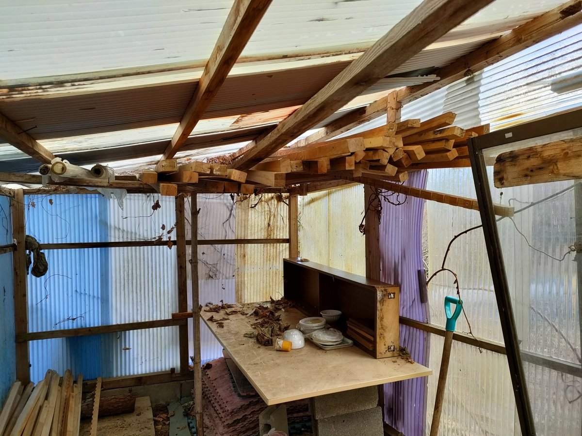 little bit busy!｜雀ゴロNoB氏のJUNK STORY