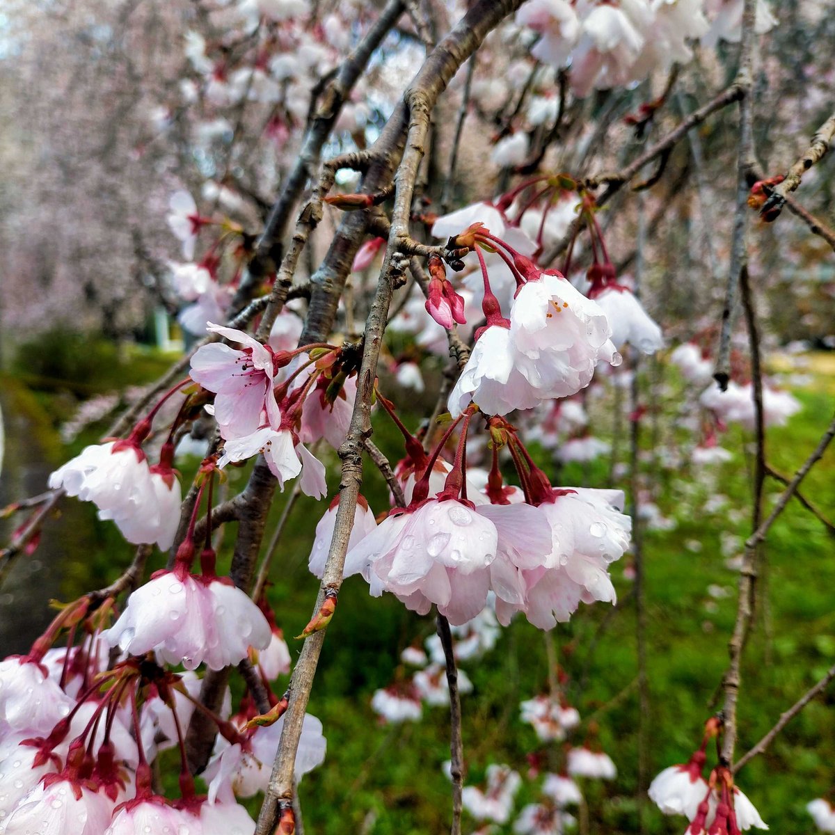 「組織の本来の学びとは？」を、お客さんから教えてもらった話｜TATEITO