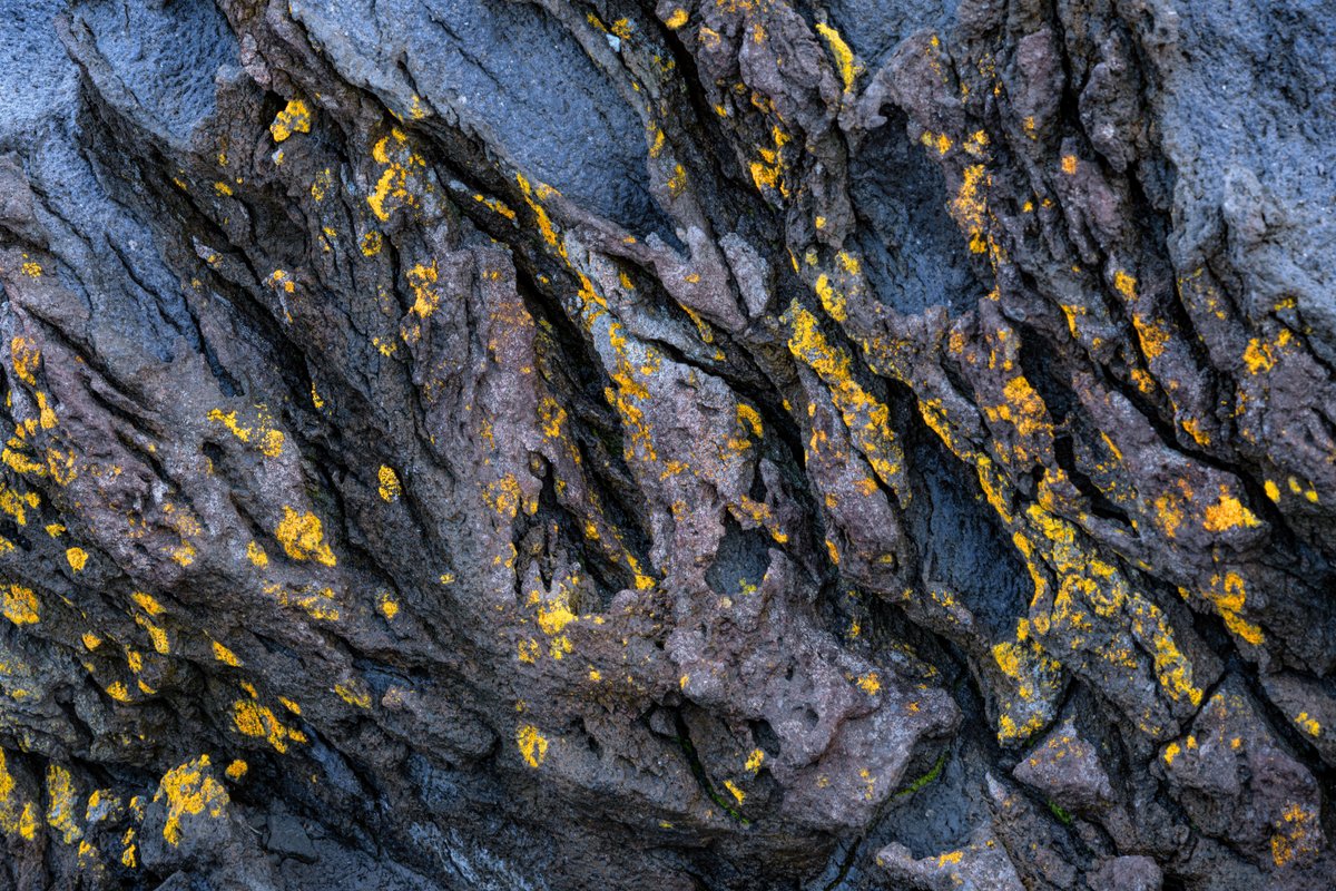 新時代の風景写真 Intimate Landscape | はじめてのnote｜Kazuki.S