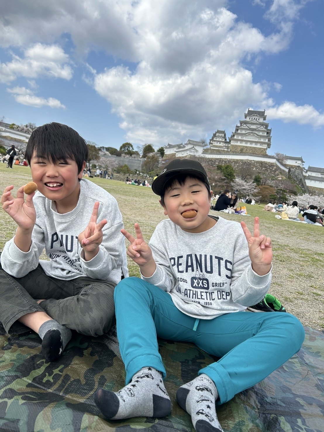 姫路城の桜🌸｜FXトレーダーKENZOのブログです。