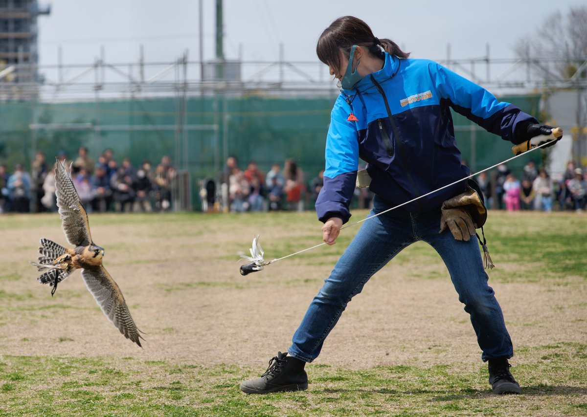 Z5Ⅱ発表〜Zfユーザーからの視点〜｜005 akkiy