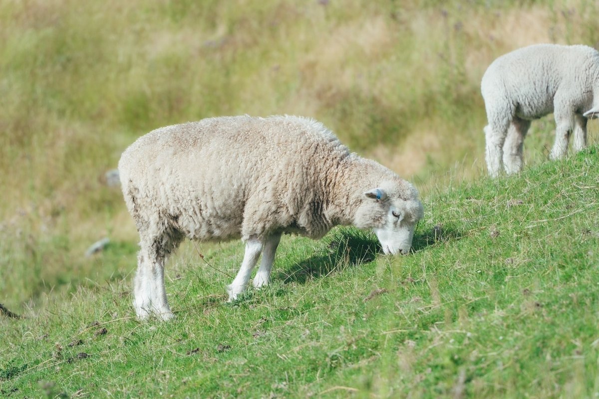 POOLOJOB、ついに始まる | 5期生さき｜さき｜心のままに旅して生きる🌿