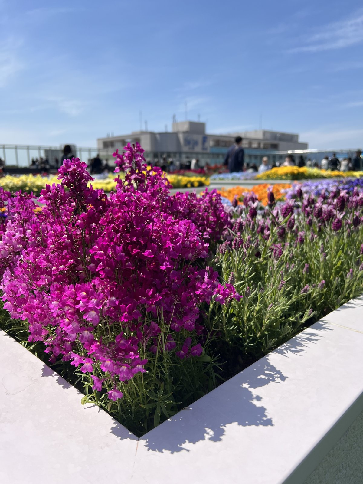 雑記ブログ「心に思い浮かんだ色々な内容や考えを書き付けたノート・帳面」｜taiga