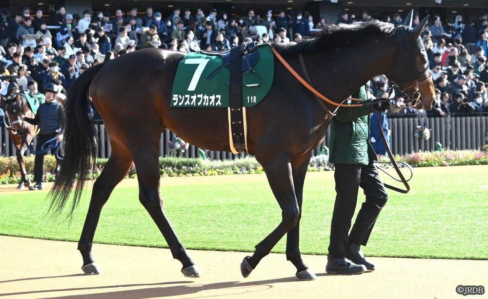 4/5（土）阪神11R チャーチルダウンズC 赤木の予想 ｜JRDB 競馬アラカルト