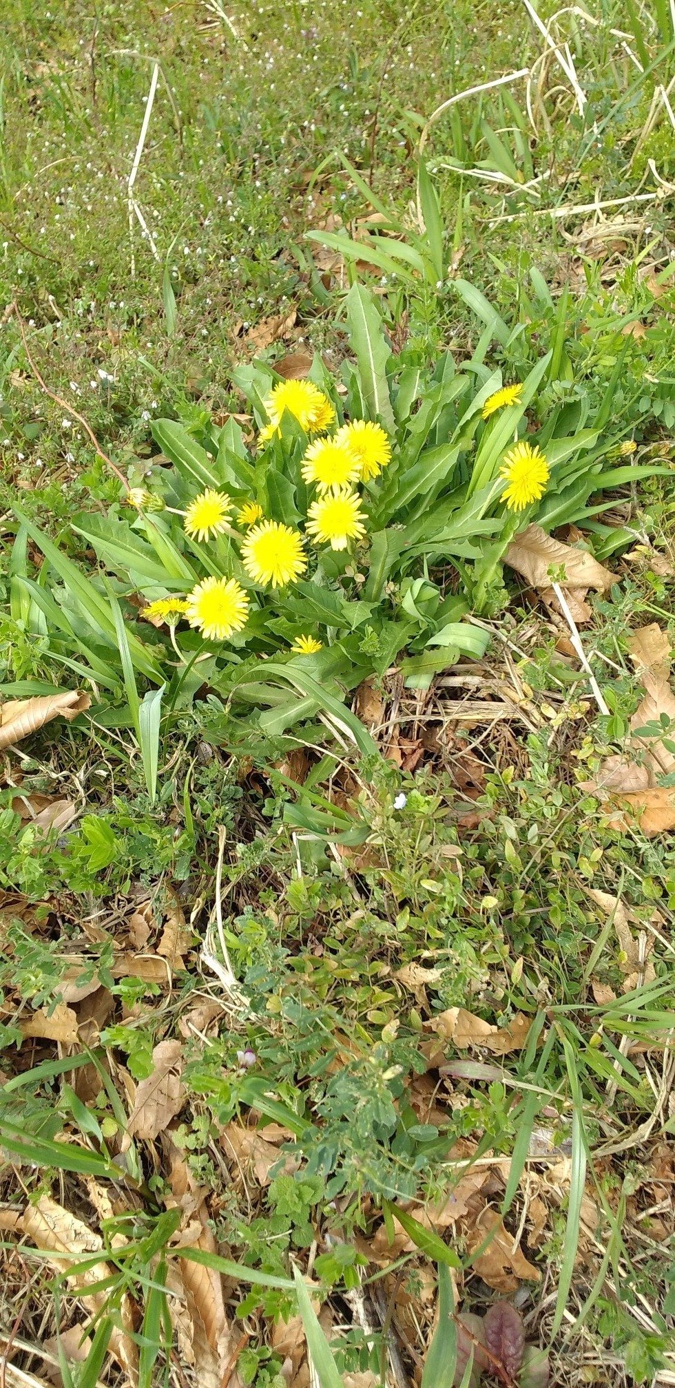 ちょっとブレイク｜tabi-book-color(キャロライン）