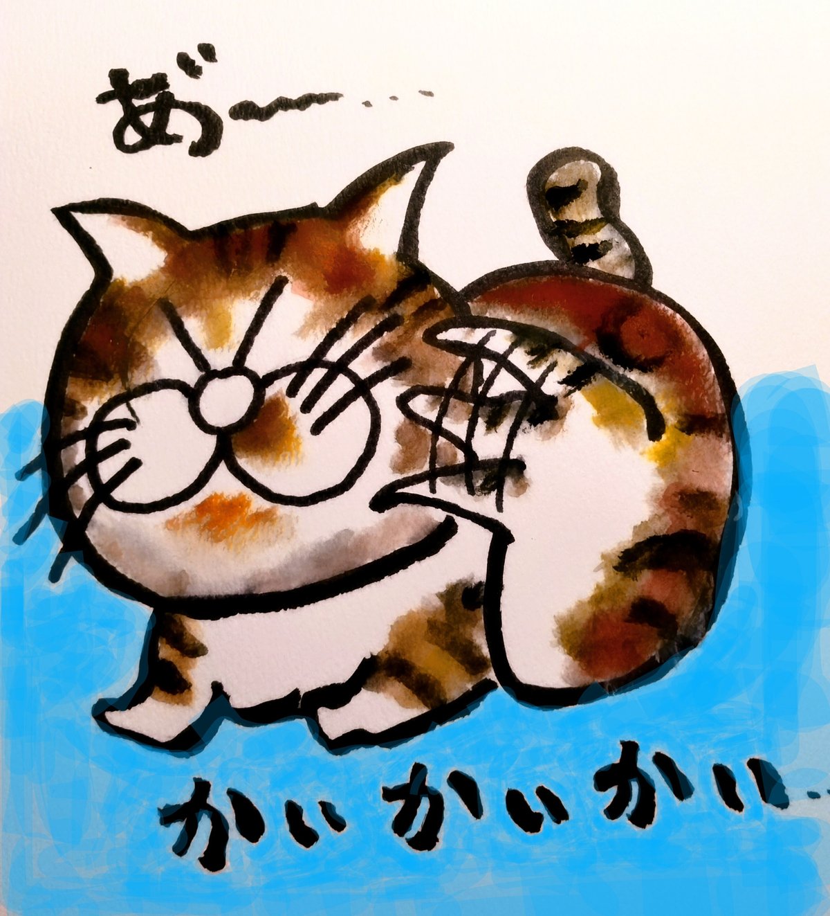 とりあえず、ネコ。｜Y Harada