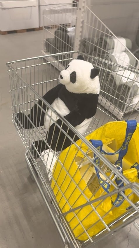 【自己紹介】元インドア派が旅を仕事に？－POOLOJOB－｜May＠ミニマリスト×HSP