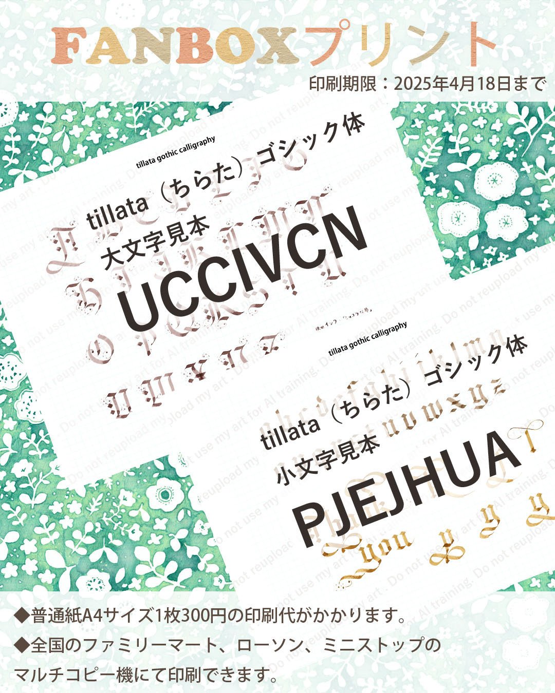 FANBOXプリント予告｜tillata（ちらた）