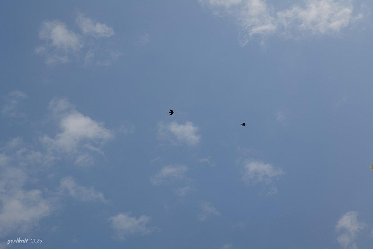 身の程知らず。｜yoriknit