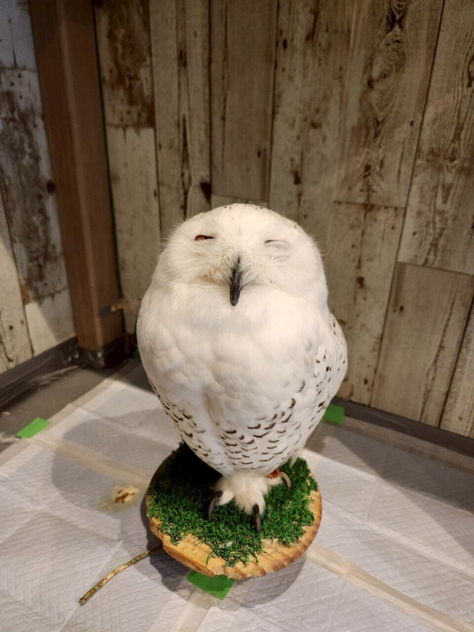 人が気持ちよく自分を語れている時、聞き手は既に6次元にいる。（4/2〜4/6）｜社会人（旧理系大学院生）