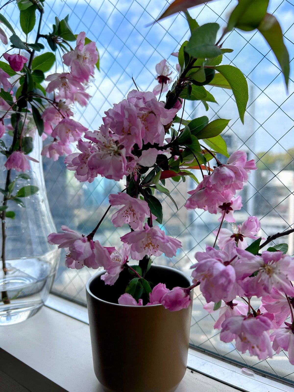 心が満たされるということ。｜Reiko