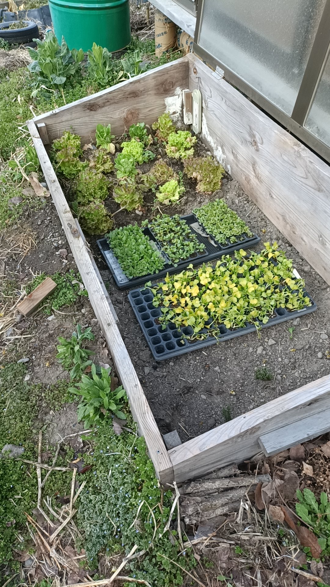 ニックさんの素敵な暮らしを訪ねる｜shanthi-usui