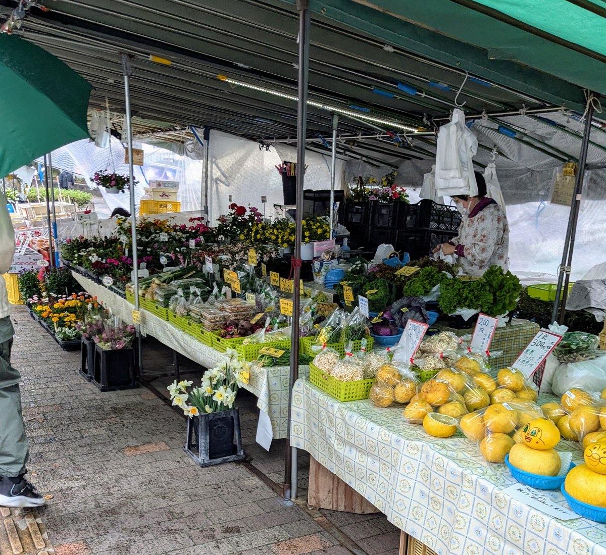 高知県の旅② 高知市内｜yuko.tapir