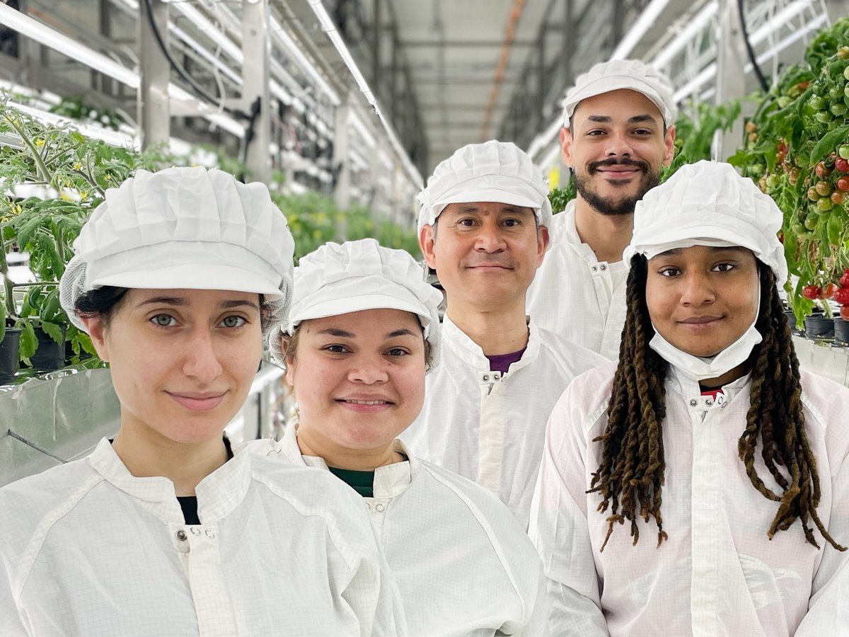 世界中の子供たちに喜んで食べてもらえる、おいしいトマトを作りたい。原体験に根差した情熱が生んだRubī Tomato｜Oishii Farm