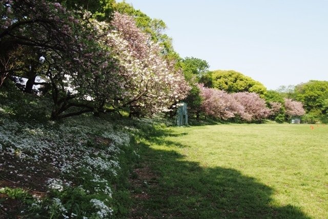 ベツレヘムの星｜Humming.7