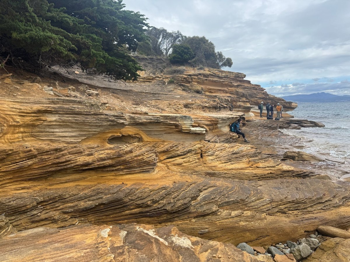 ウォンバットに会いに！タスマニア・マリア島の旅｜SeeSO｜AMBL株式会社 UXD