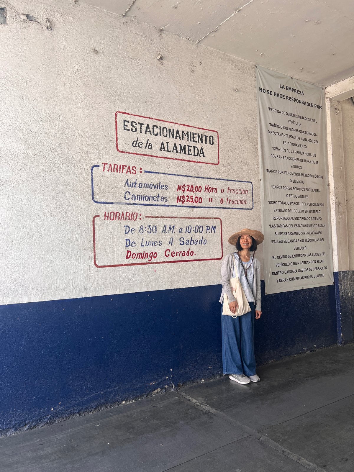 【メキシコ「祖父を巡る」民芸品の旅】 #2 : オアハカ編 買い物の才能とサボテンと夕日｜和田 萌 / MOE WADA