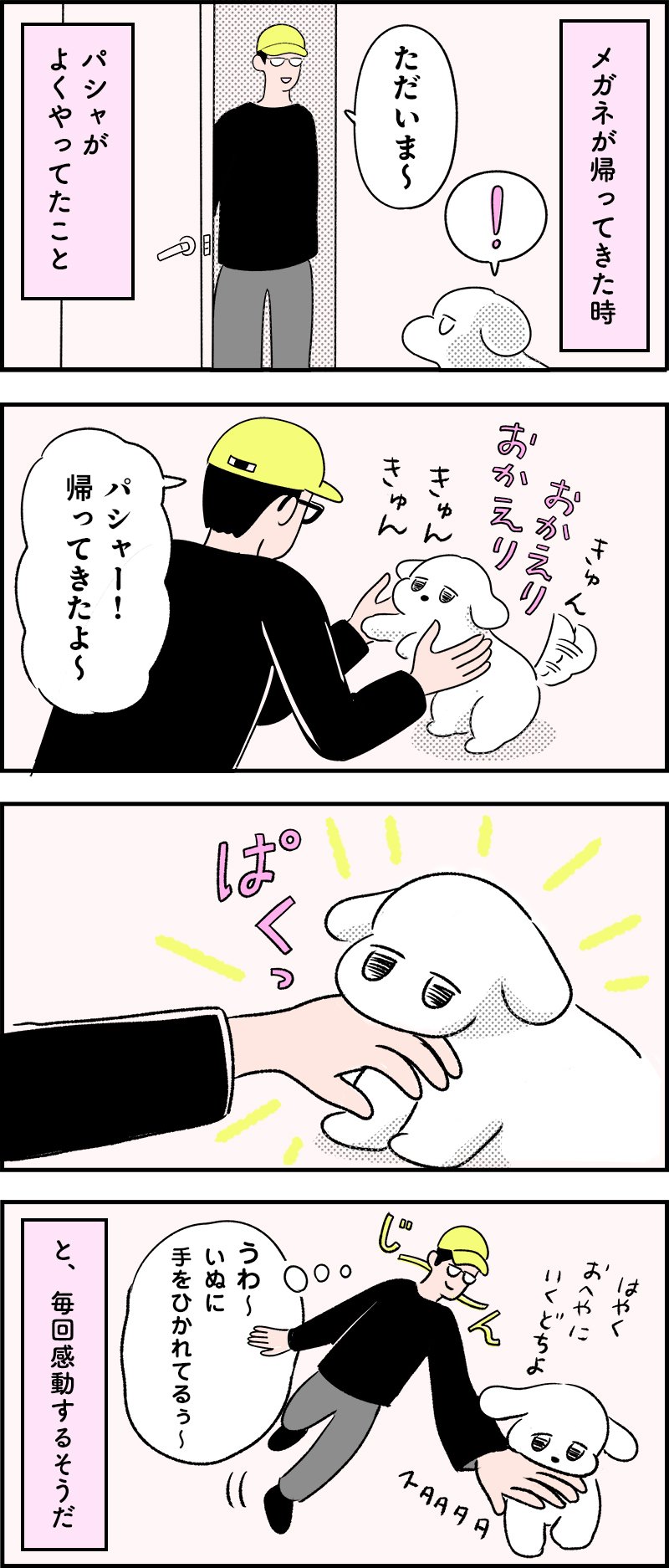 「いぬとのこと」#38 よくやっていたこと｜YAYO/NU