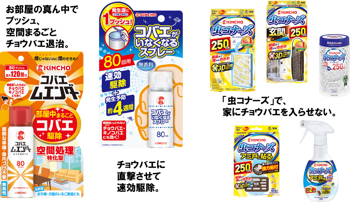 チョウバエ ～「どんくさいけど、やっかいな害虫」｜KINCHO 大日本除虫菊株式会社