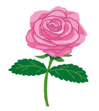 「線形代数の半歩先」をPythonで写経 ～ 10章 DMD動画分析、DMD振り返り｜ネイピア DS