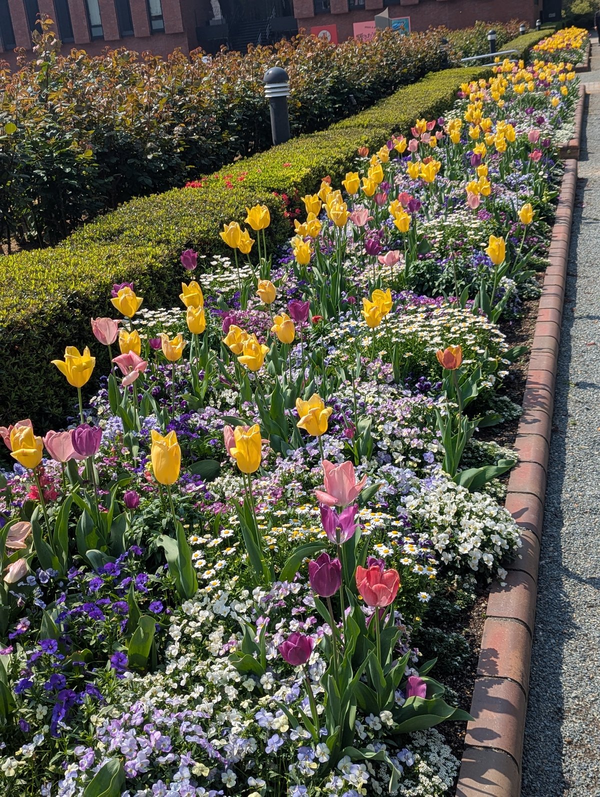 「美術展を見に行くのは楽しい」と実感した1日【響きあう絵画 宮城県美術館コレクション】｜Chie Ishikawa∣自分の想いを言葉にする魔術師