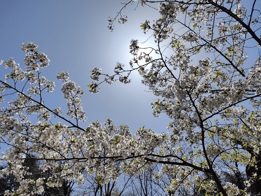 『嫌だ！』と言える勇気｜CoCoRo_no中の君