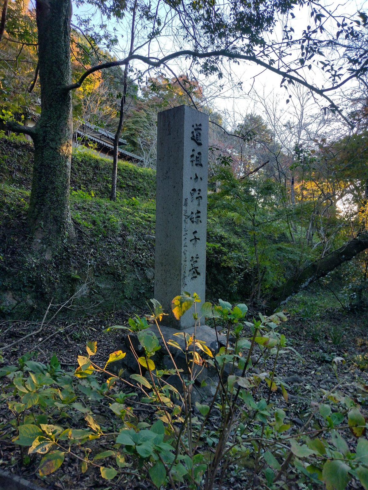 824（近畿110）近つ飛鳥の里太子★小野妹子墓★｜ねぶ