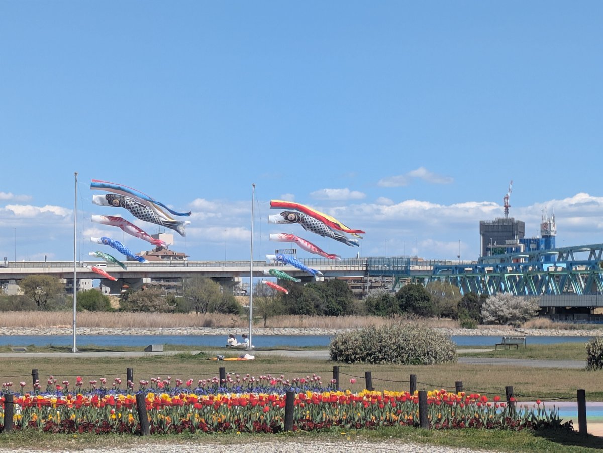 Want to Run Along the Arakawa This Spring? 🌸 Looking for Running Circle Members! 🏃🏃｜~Run With ...