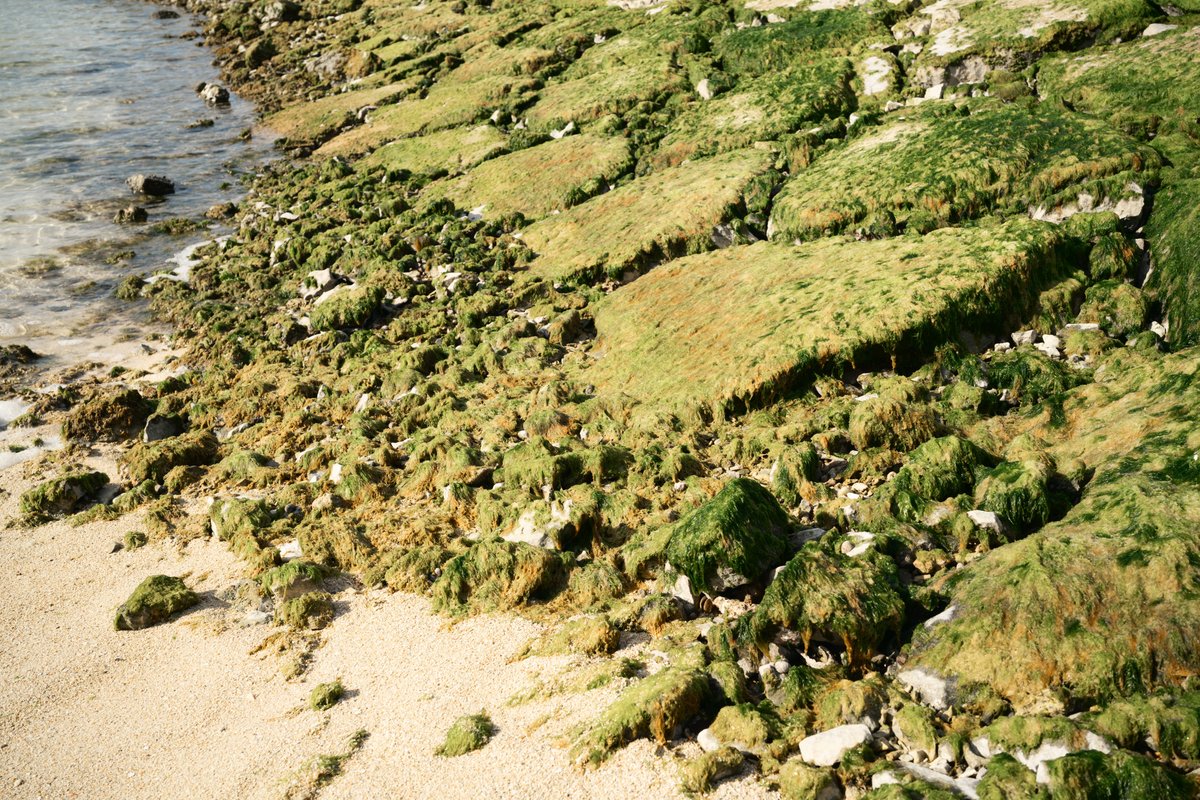沖縄県｜今帰仁｜Mitsuhiro