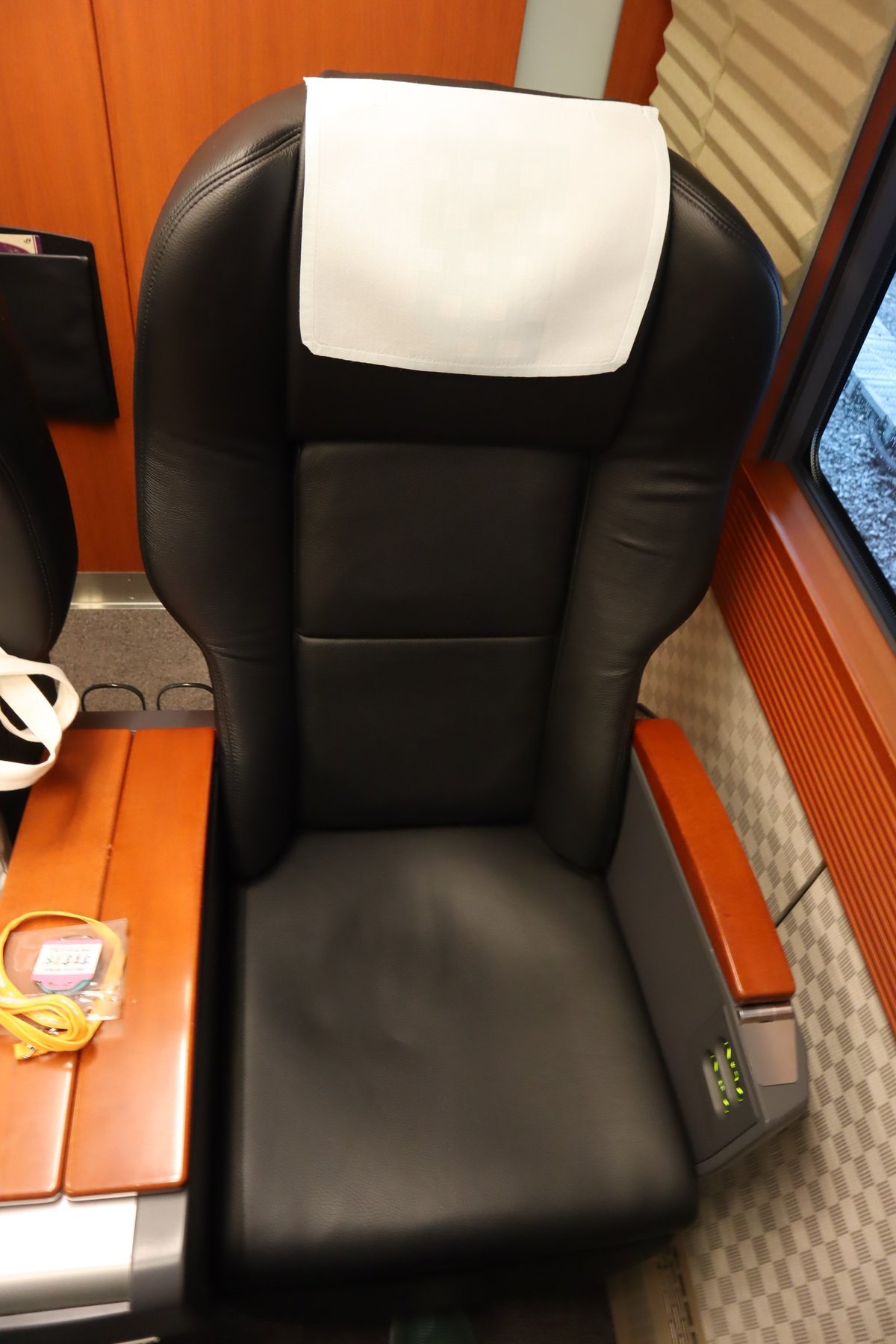 E655系・ハイグレード車両「なごみ（和）」で行く！ 春のアルプスを望む 新宿→白馬 片道の旅｜ryokichi