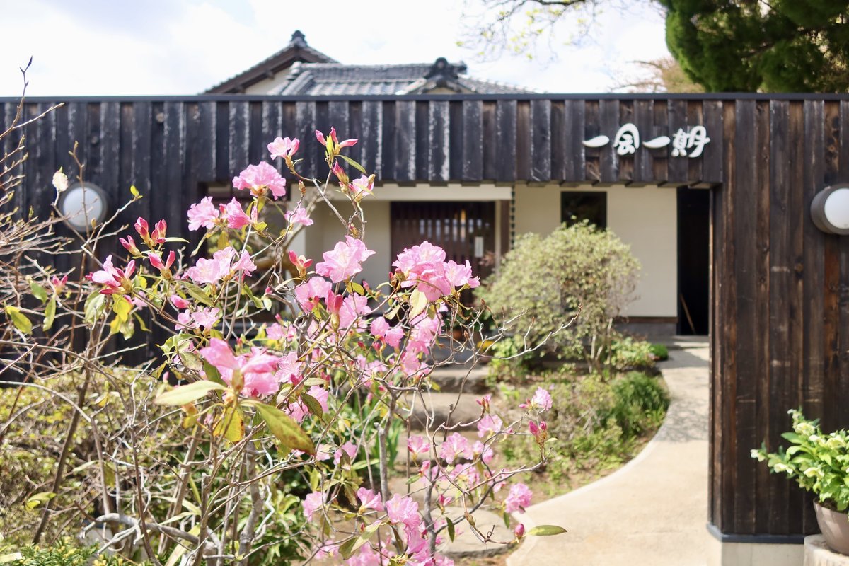 つくば霞ヶ浦りんりんロード（旧筑波鉄道コース）ポタリング🚲｜Aoi