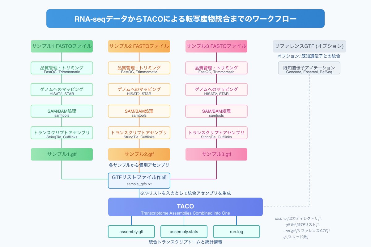 複数RNA-seqデータを統合して次のレベルへ！TACOで高精度な転写産物解析に挑戦｜Ozk